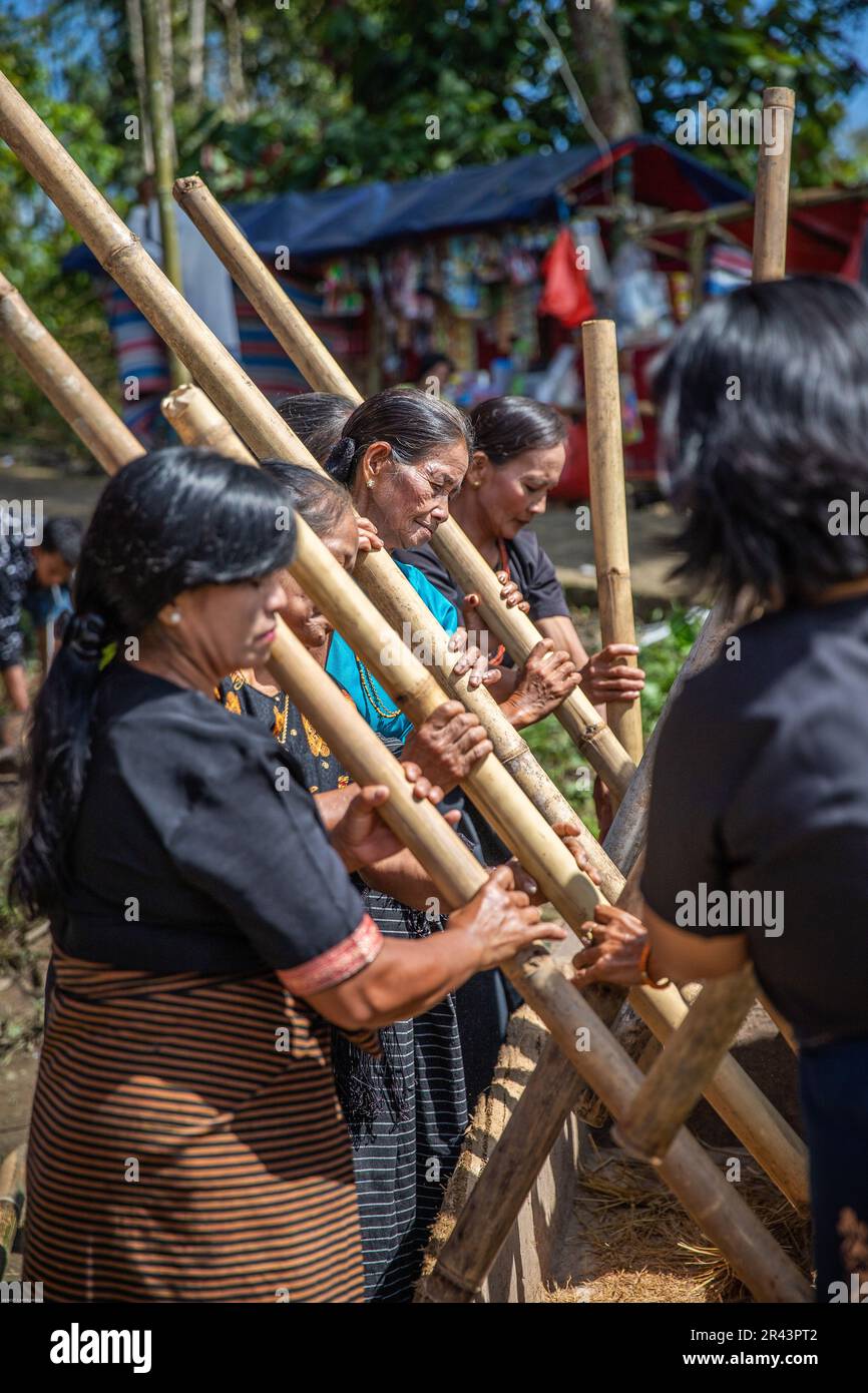 Toraja funeral rites hi-res stock photography and images - Alamy
