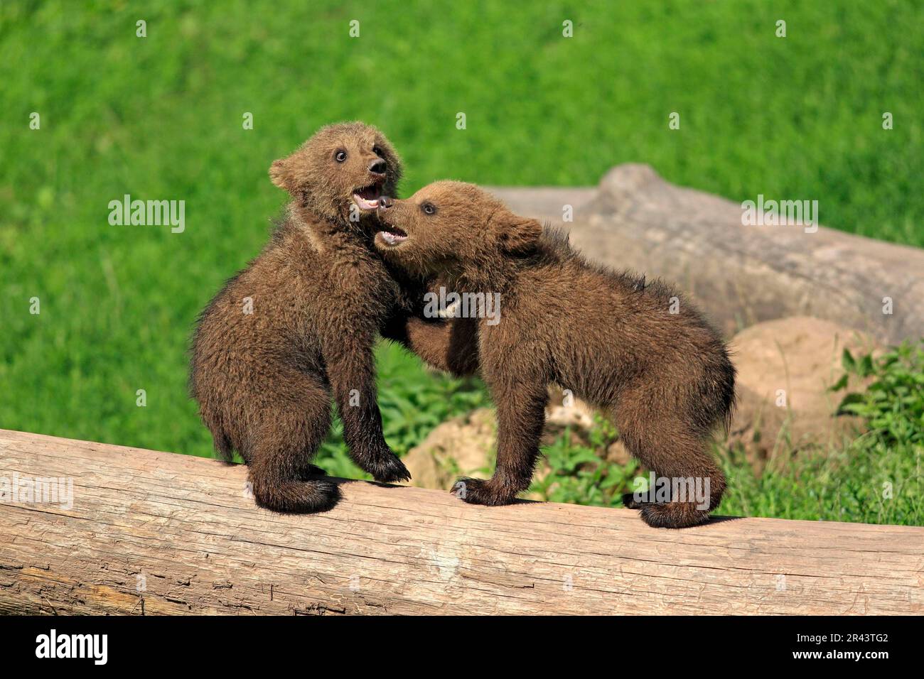 Communication european hi-res stock photography and images - Alamy