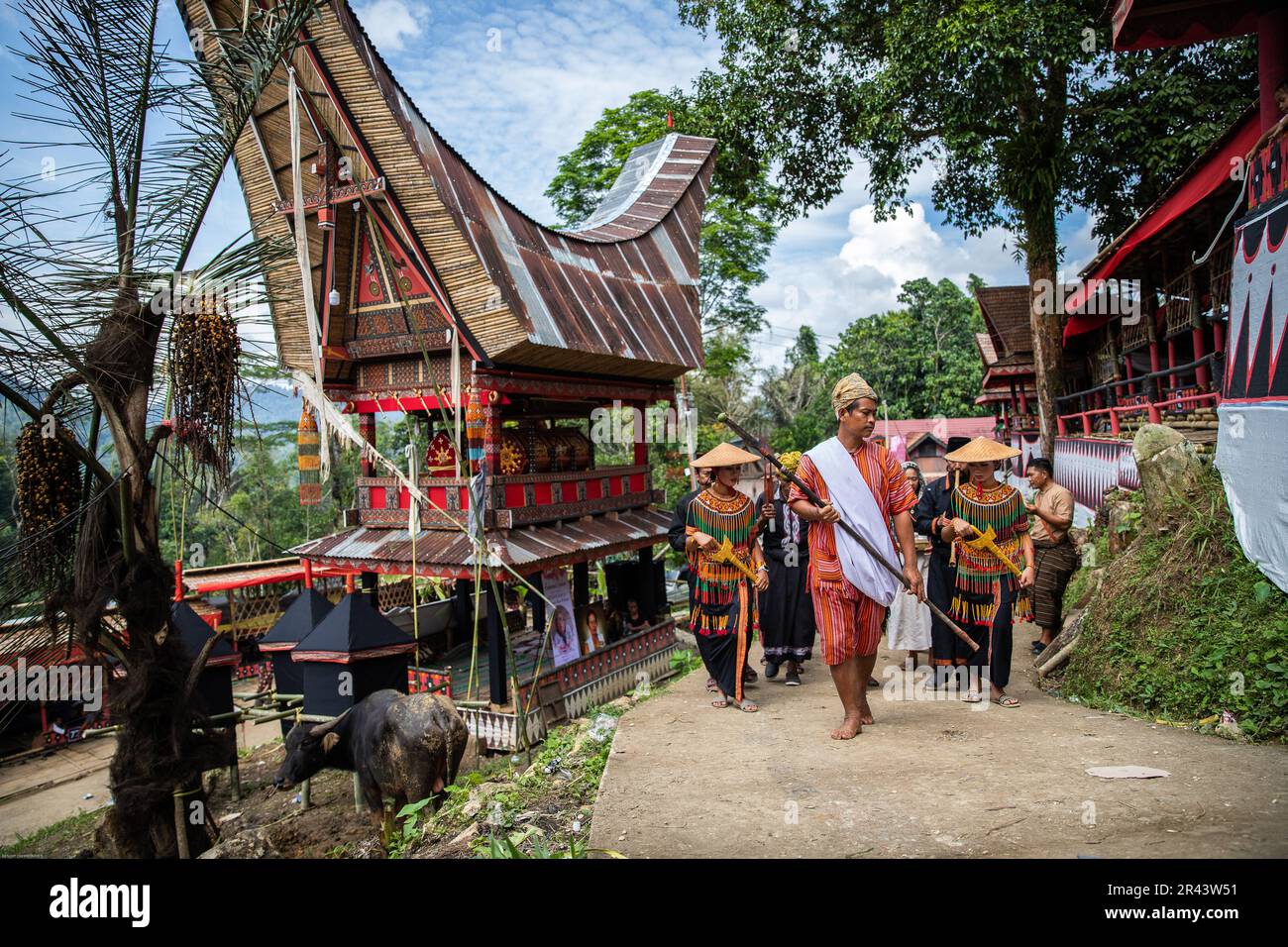 Toraja funeral ceremony, Tana Toraja, Sulawesi, Indonesia Stock Photo ...