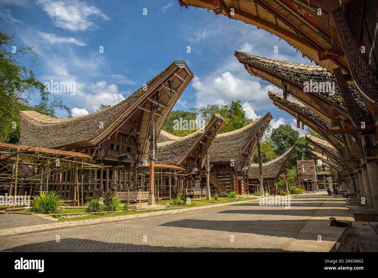 Toraja funeral ceremony, Tana Toraja, Sulawesi, Indonesia Stock Photo ...
