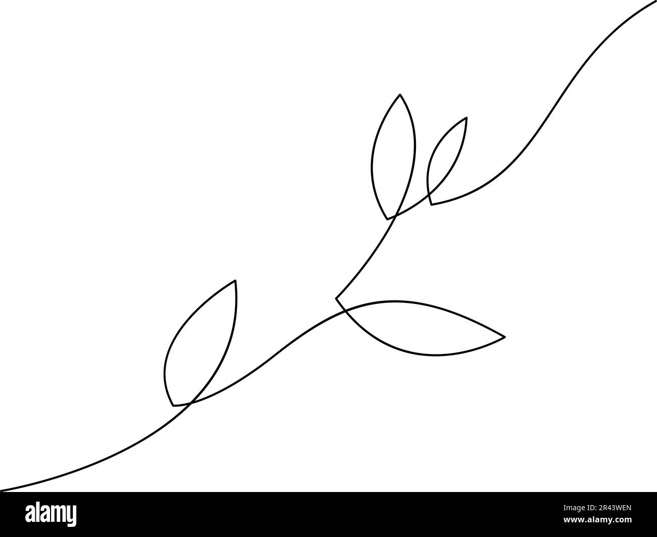 Botanical leaves continuous line drawing. Abstract plant minimal one ...