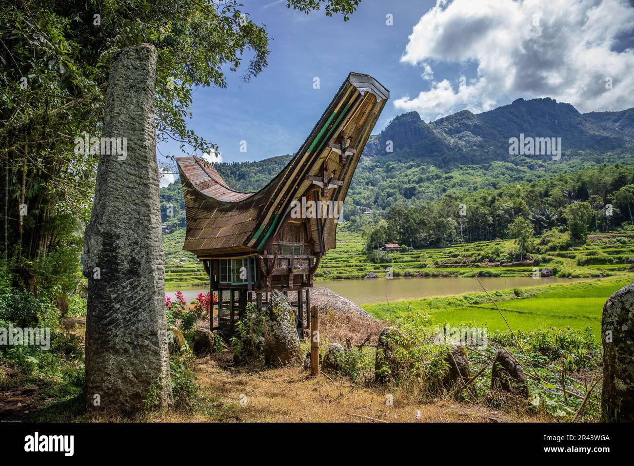 Traditional Toraja houses, Tana Toraja, Sulawesi, Indonesia Stock Photo ...