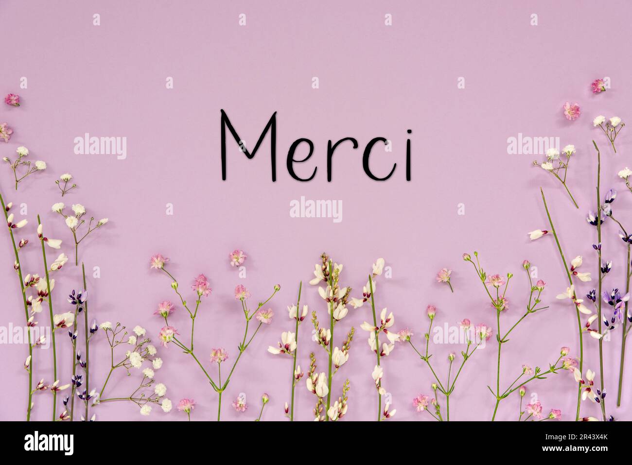 Merci means thank in french hi-res stock photography and images - Alamy