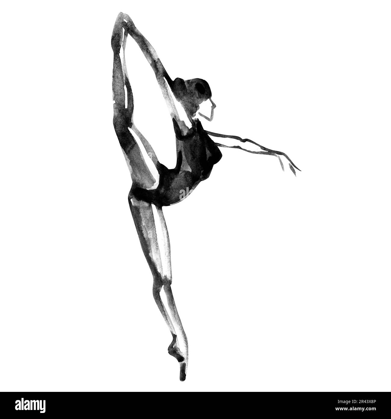 Ballerina in dance. Ink dancer. Watercolor black on white background ...