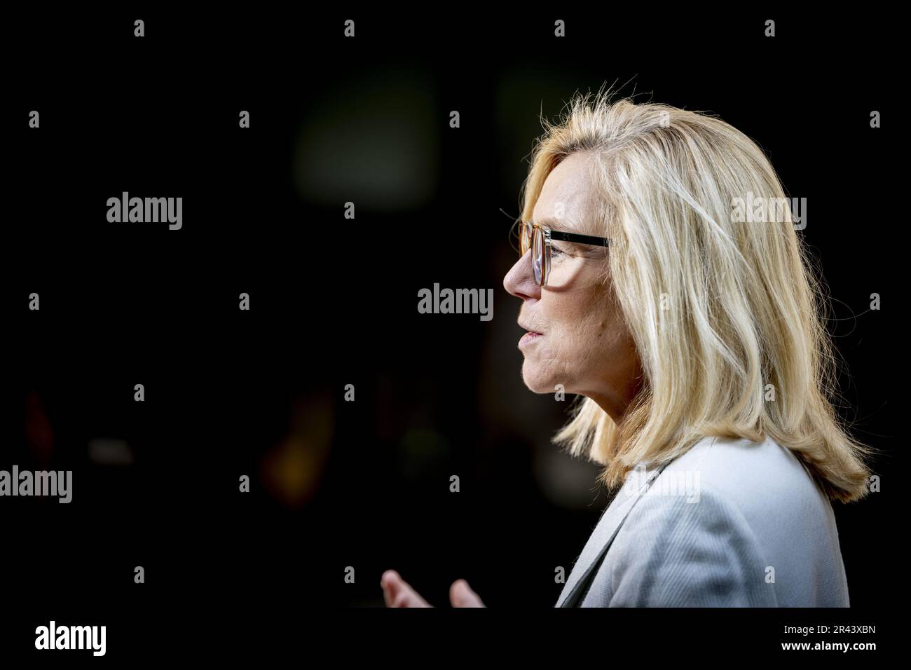 THE HAGUE - Sigrid Kaag Minister of Finance at the Binnenhof prior to ...