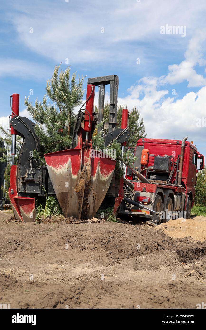 Large Tree Transplanting