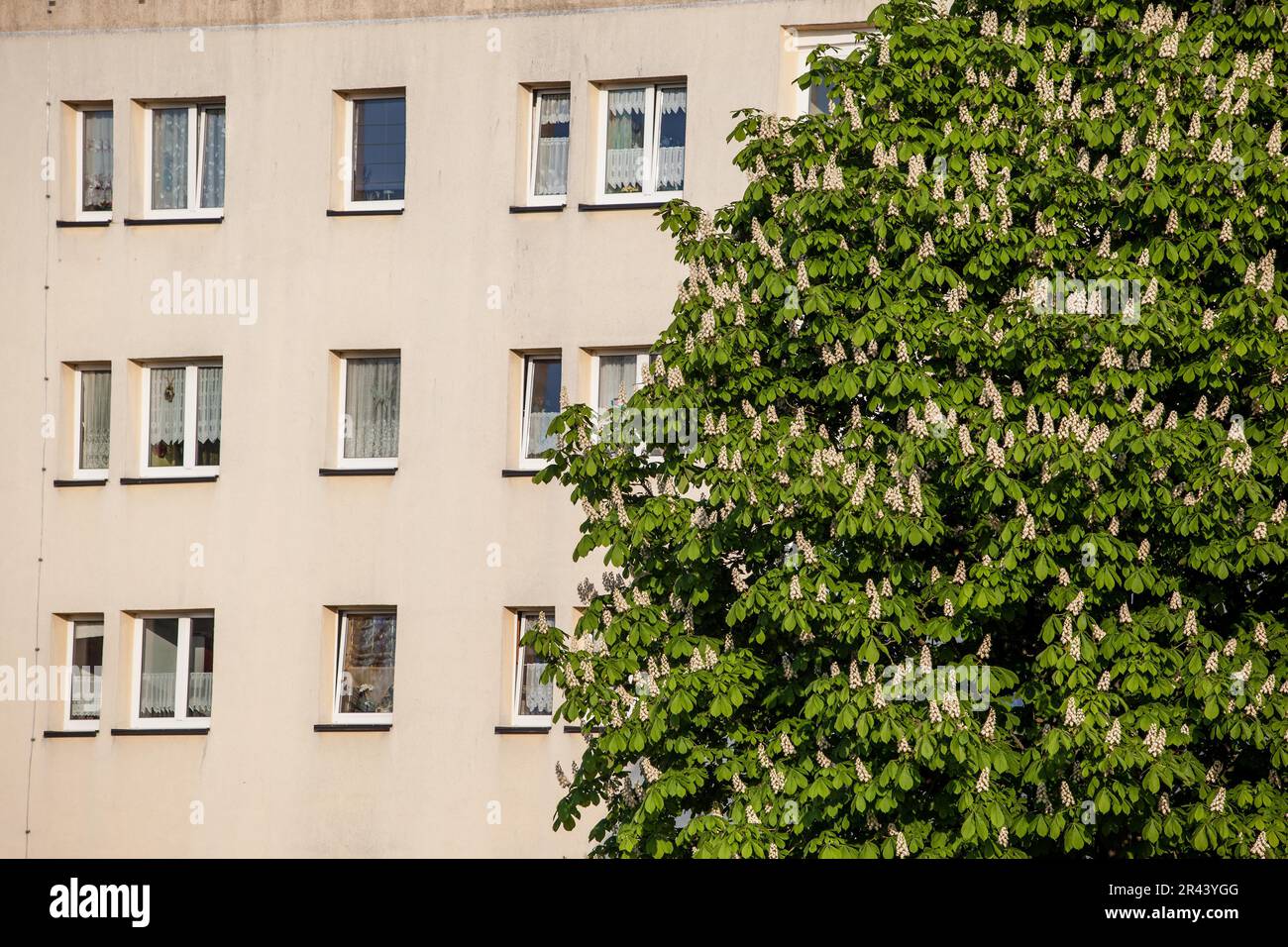 New building block Stock Photo - Alamy