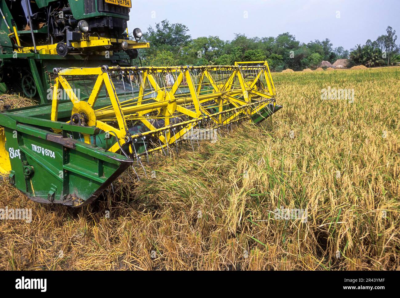Rice harvester machine in fields at Neyveli, Cuddalore, Tamil Nadu ...
