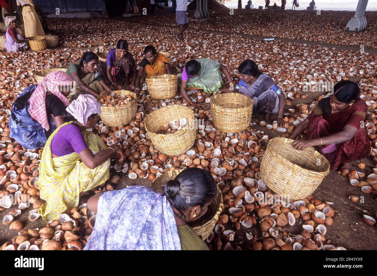 Indian oil worker hi-res stock photography and images - Alamy