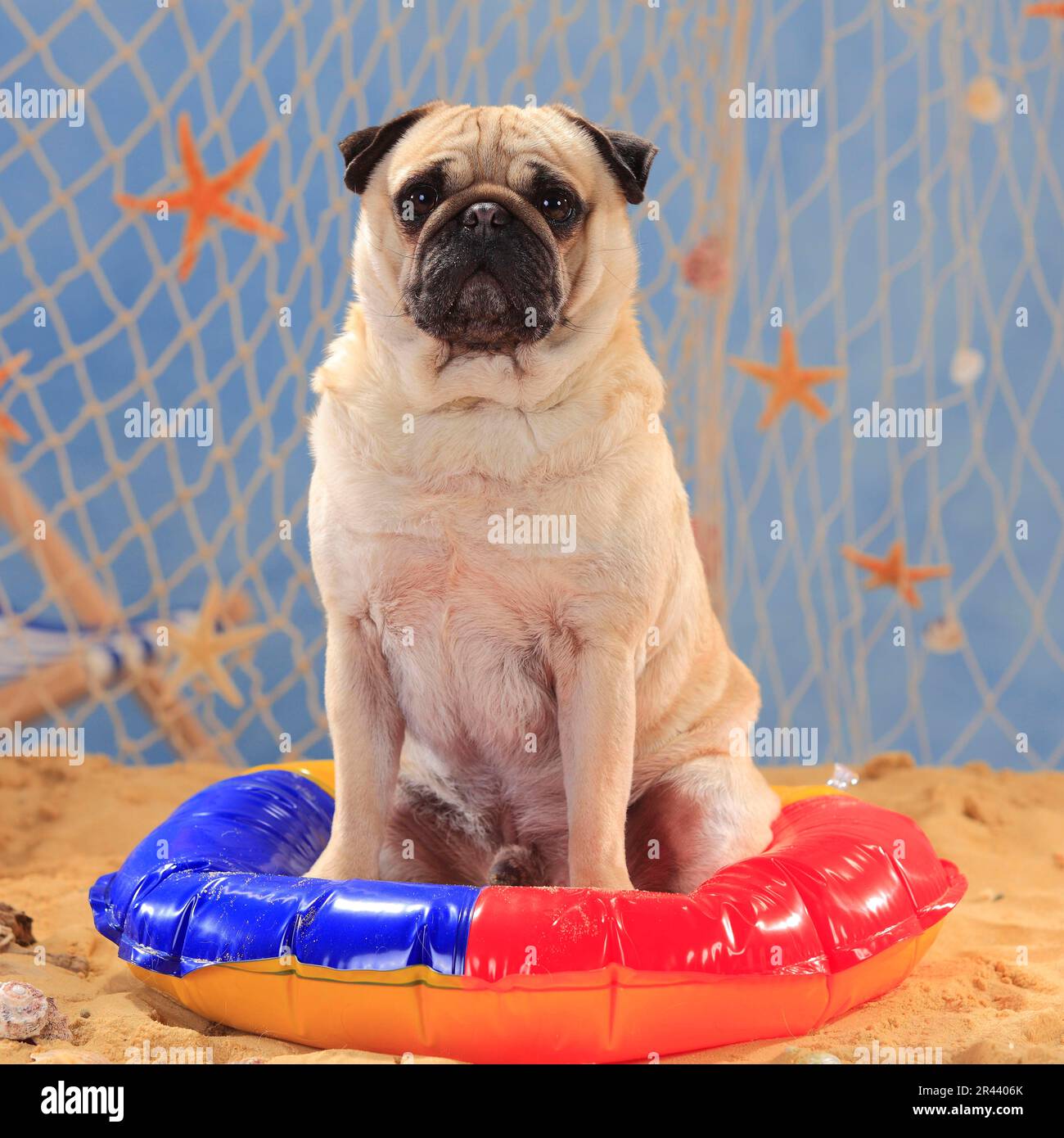 Bathing ring hi-res stock photography and images - Alamy