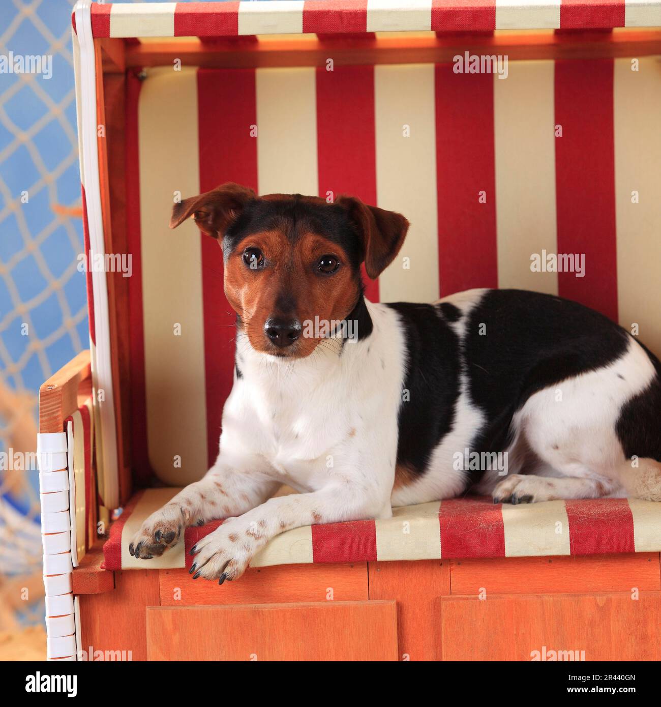 Russell square area hi-res stock photography and images - Alamy