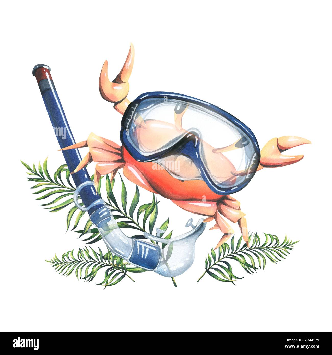 Crab in an underwater mask with a snorkel with palm leaves. Watercolor ...