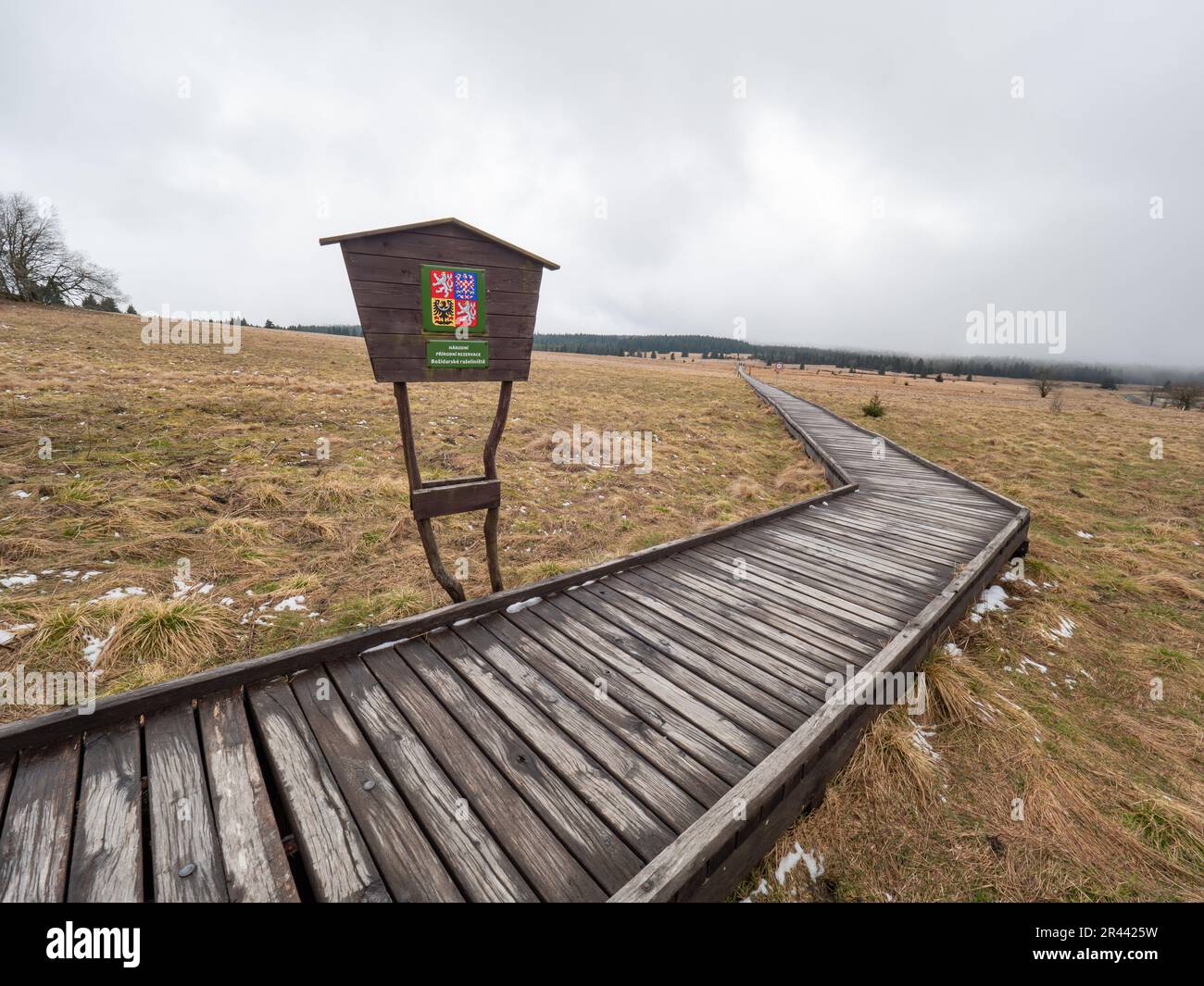 Wooden path in Bozi Dar peat bog nature reservation on sunny autumn day ...