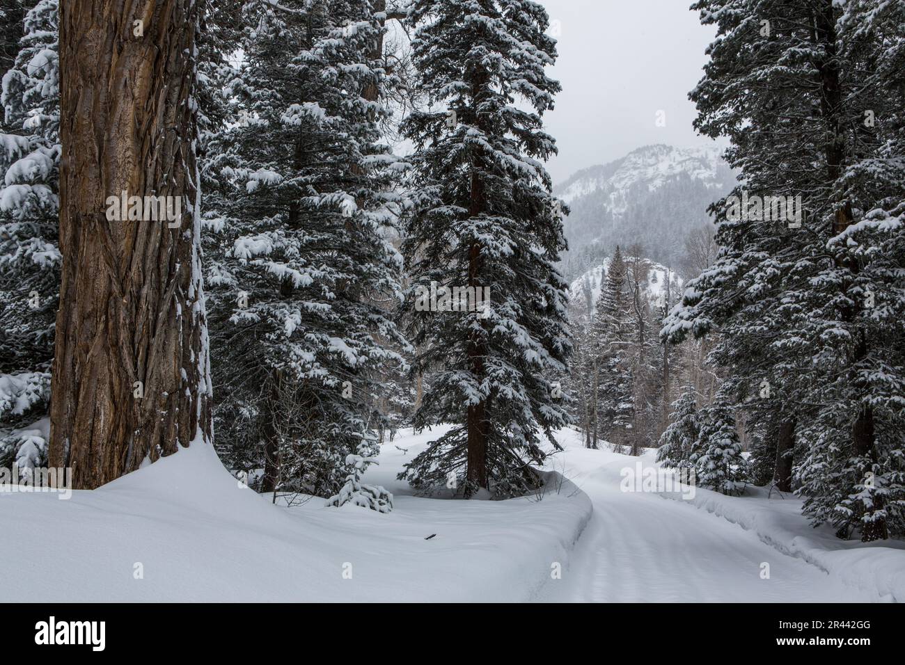 Southwest colorado mountains hi-res stock photography and images - Alamy
