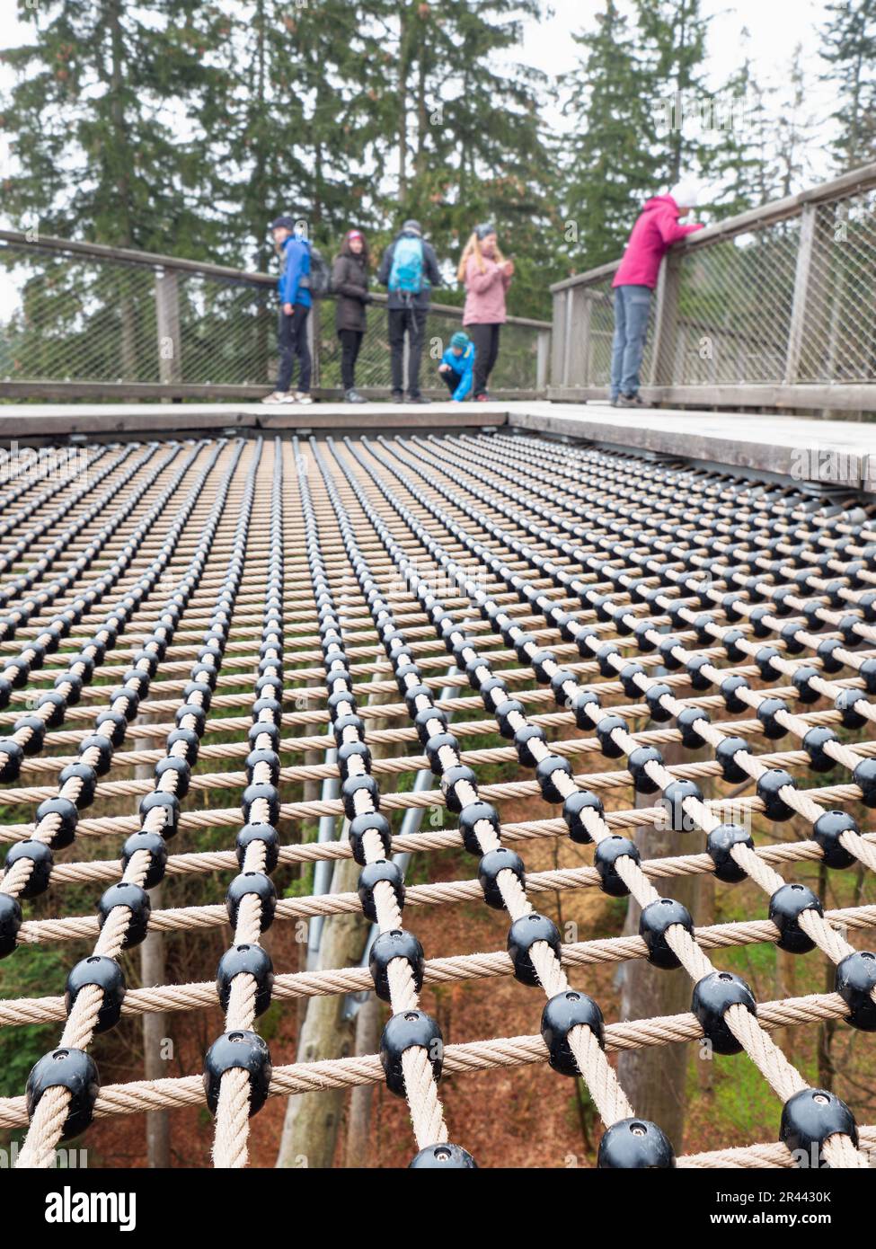 Screwed joints of ropes in safety web in treetops. Happy family out of ...