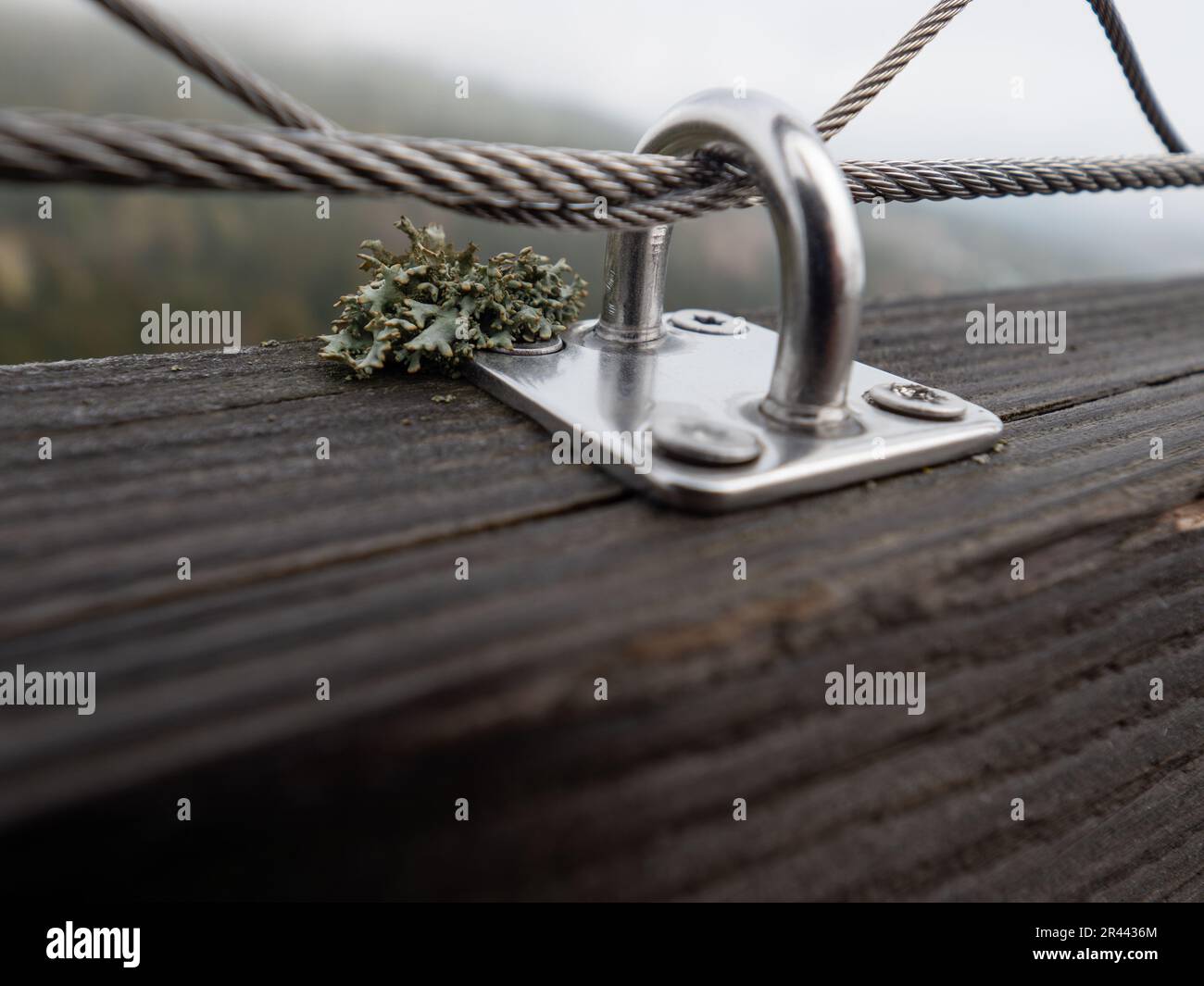 Screwed hook and tensioning joints on a modern wire fence. Anchor eye ...