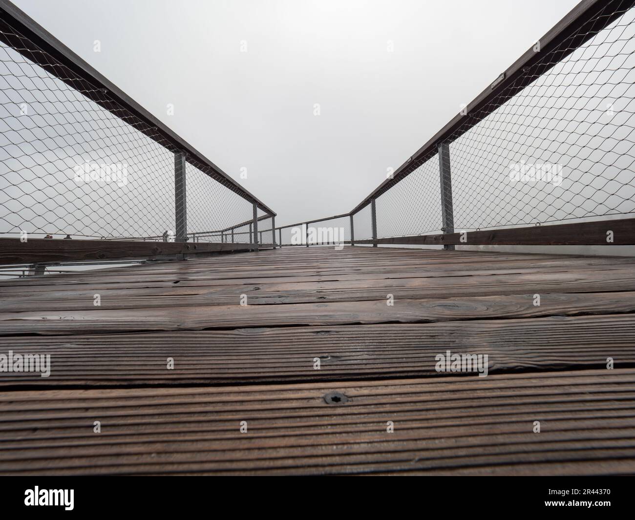 Path in treetops. Wooden planks of path for wheelchairs. Wooden and ...