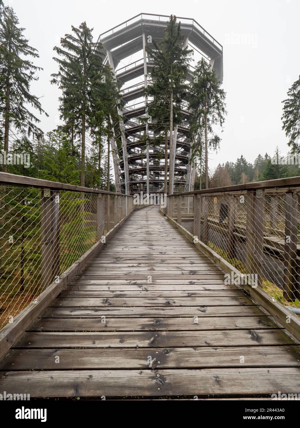 Tree Top Trail Watchtower, Stezka Korunami Stromu, Janske lazne town ...