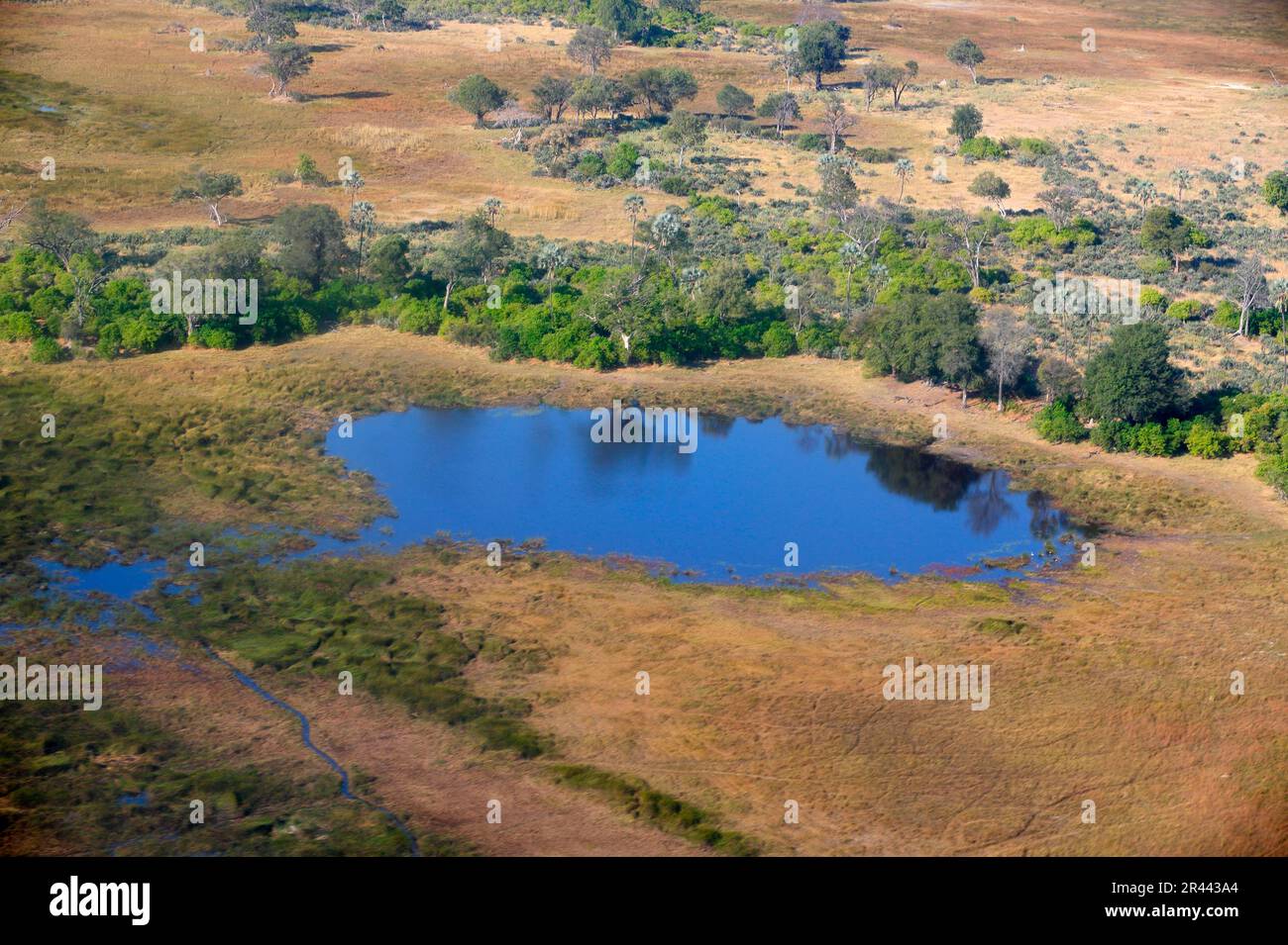 Inland delta hi-res stock photography and images - Alamy