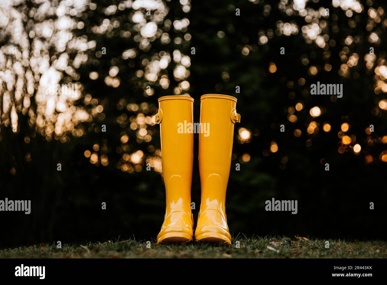 View of boots hi-res stock photography and images - Alamy