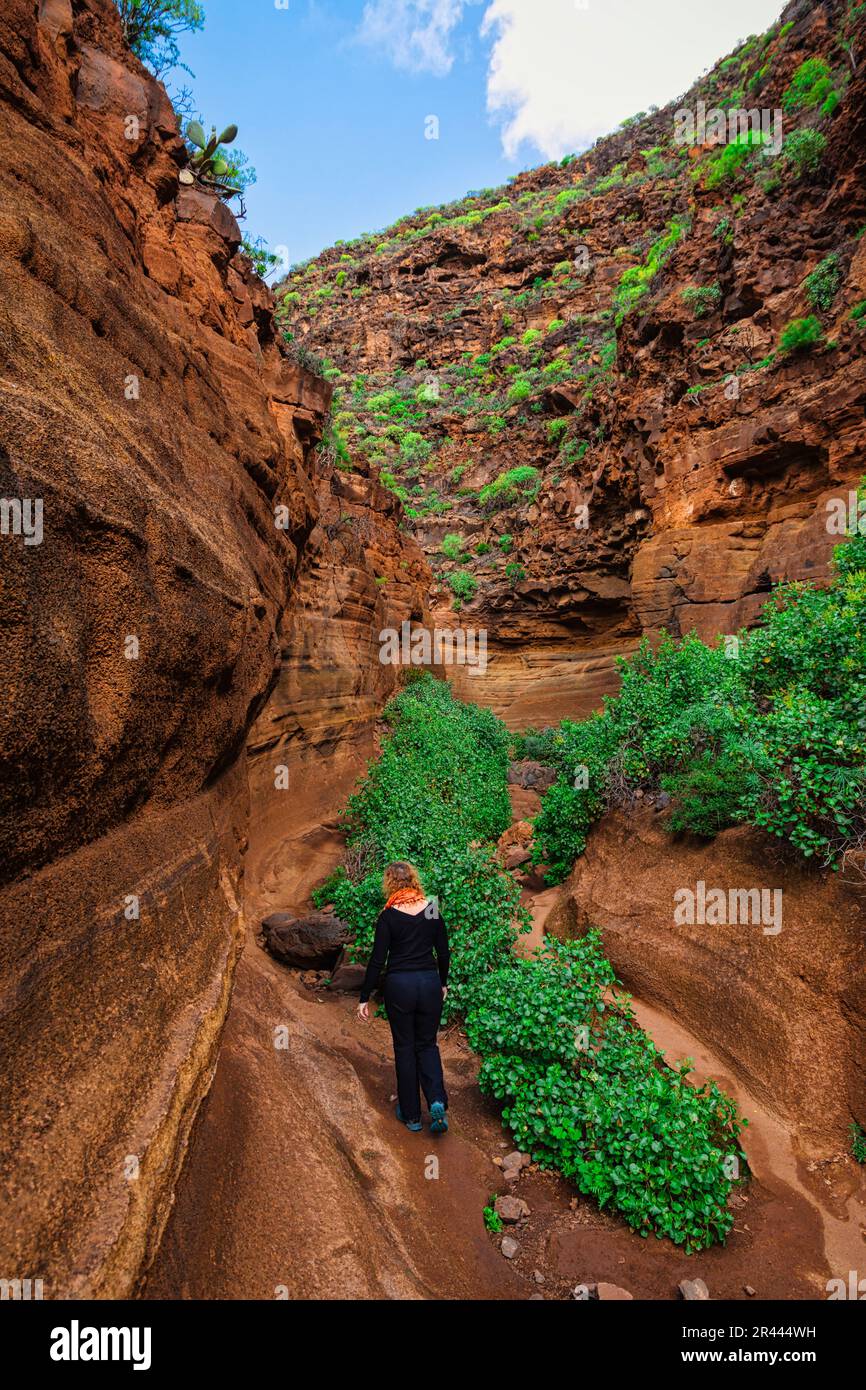 woman on her back walking inside a canyon carved into the rock Stock ...