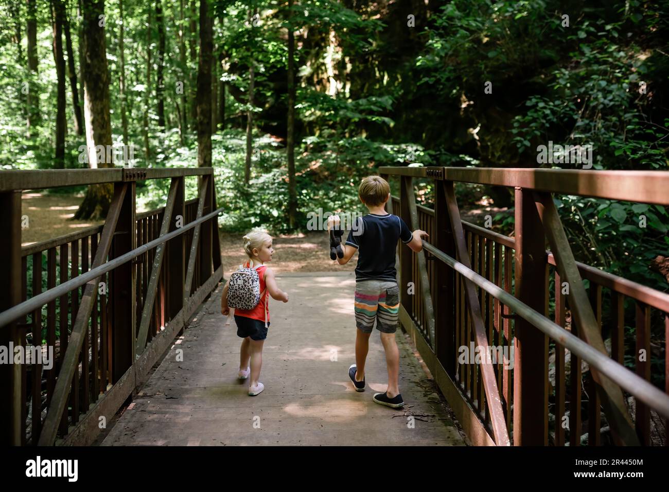 Kids walking across bridge on hike in forest during summer Stock Photo ...