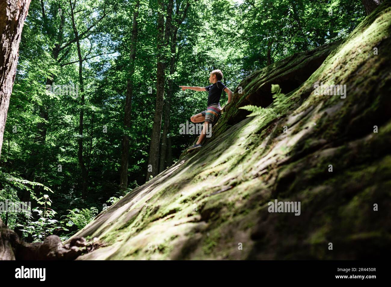 Person in nature pointing into distance surrounded in greenery Stock ...
