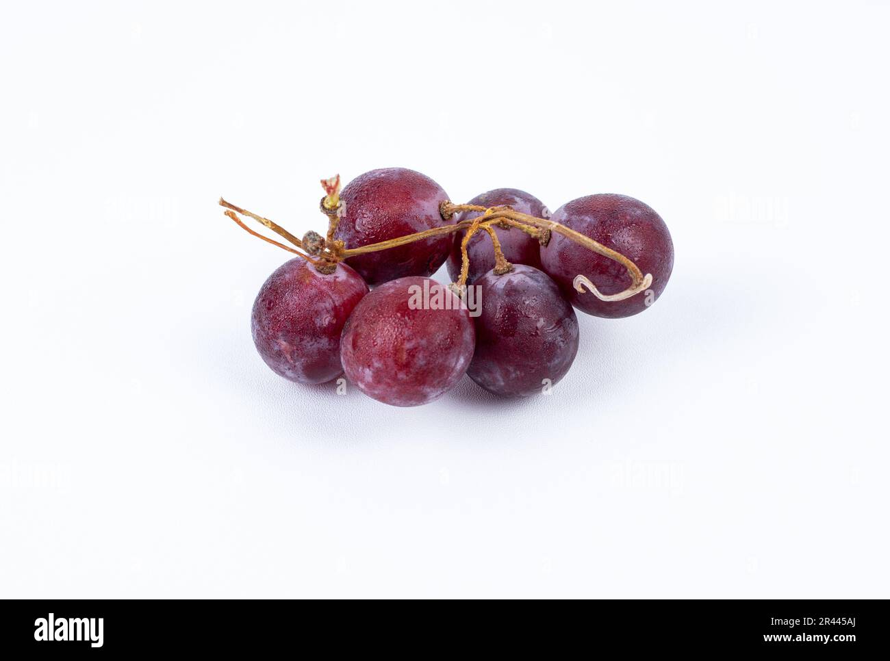 Big grapes Cut Out Stock Images & Pictures - Alamy
