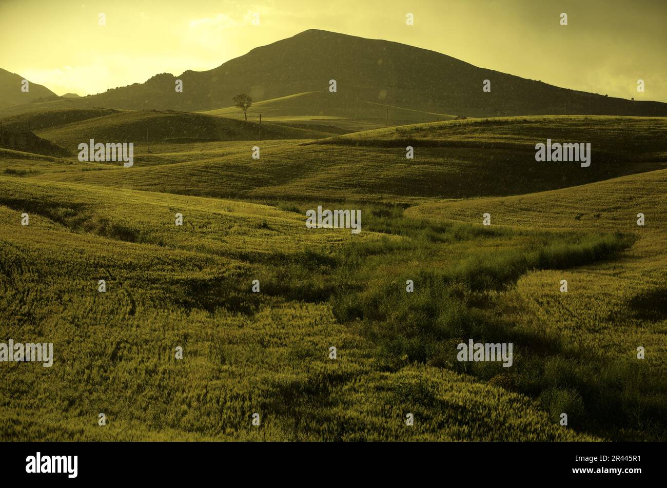 Weather concept sun rain contrast hi-res stock photography and images ...