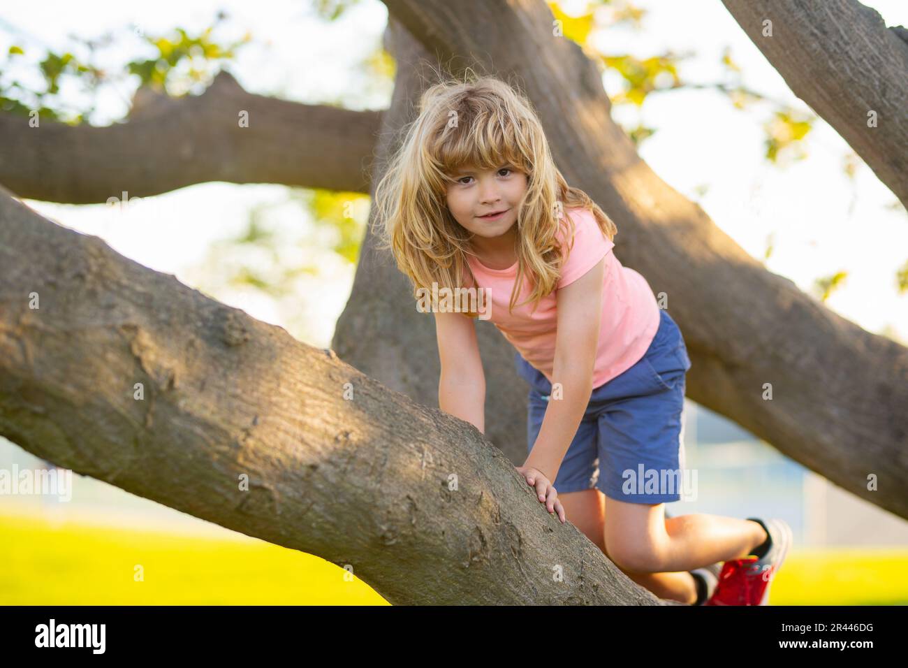 Child hugging a tree branch. Little boy kid on a tree branch. Kid ...