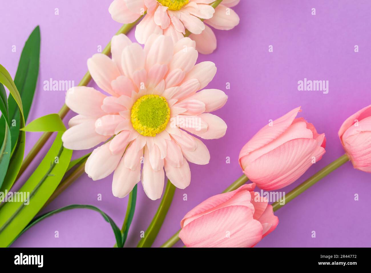 Purple Composition of Flowers with copy space Stock Photo - Alamy
