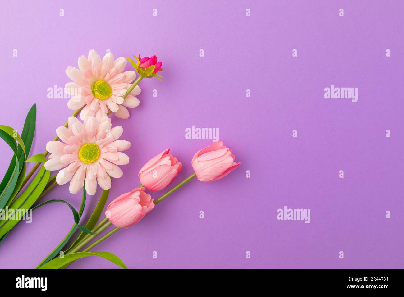 Purple Composition of Flowers with copy space Stock Photo - Alamy