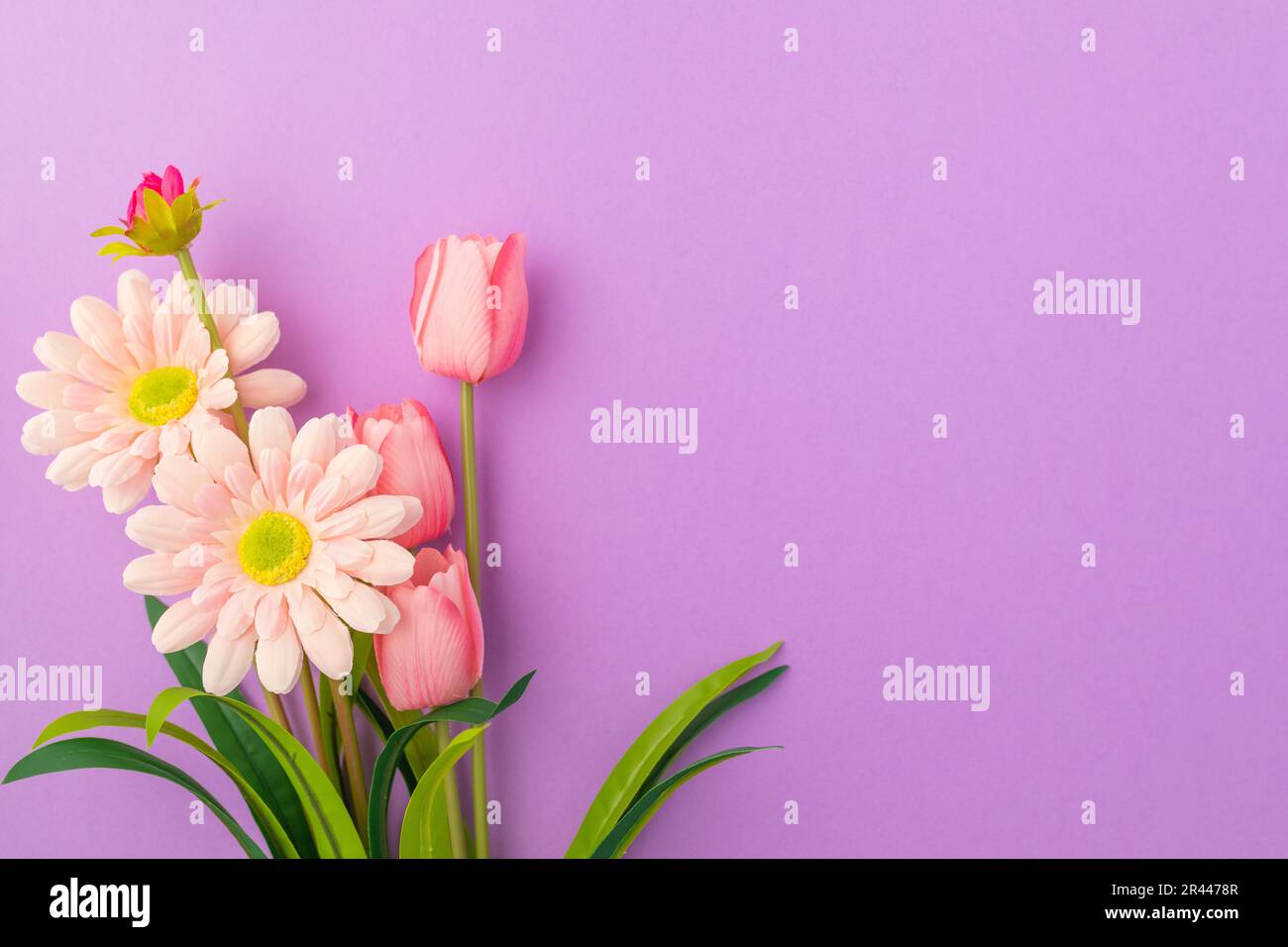 Colortexture hi-res stock photography and images - Alamy