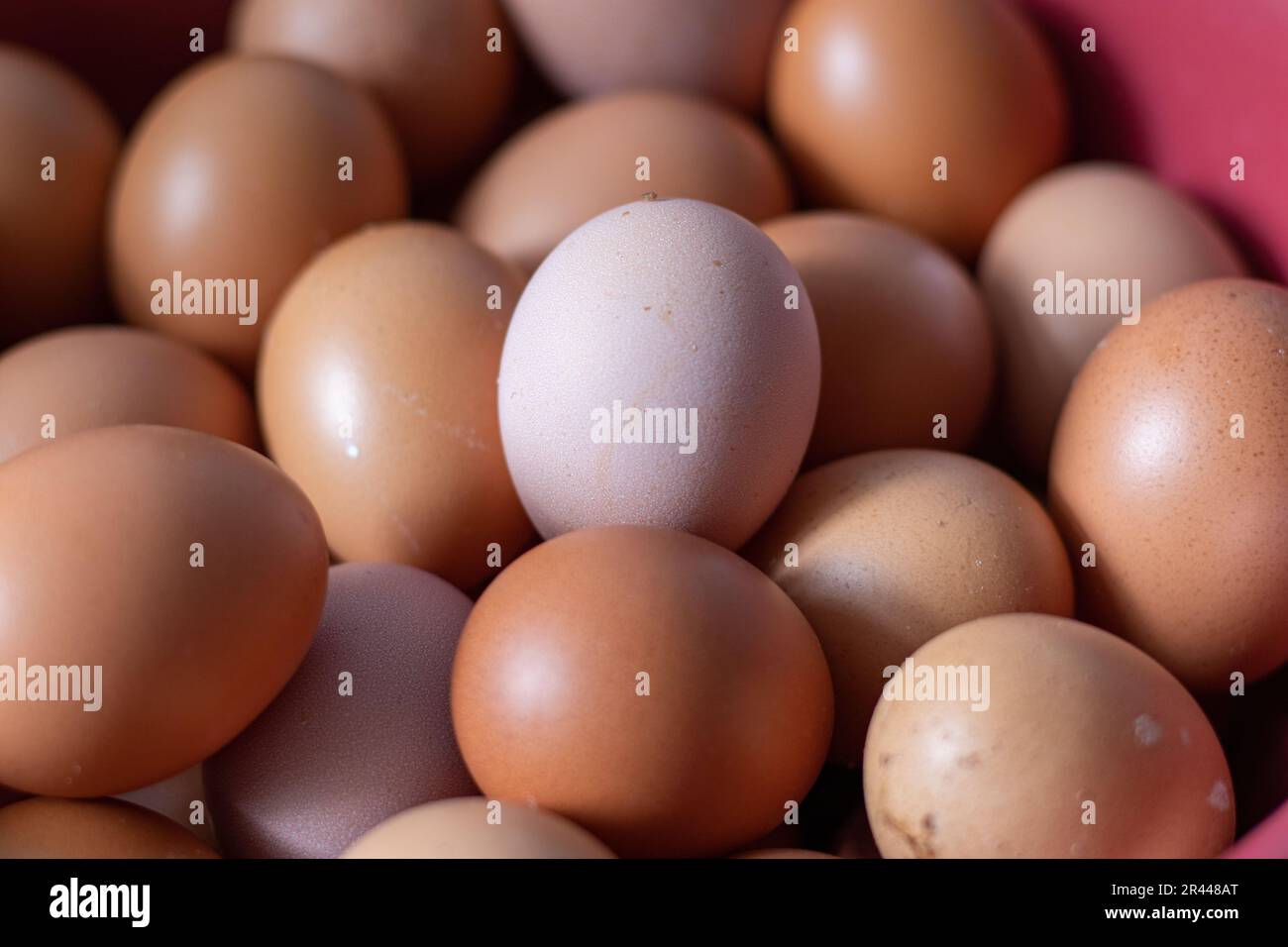 pile of raw eggs with a focus on eggs of different colors Stock Photo ...