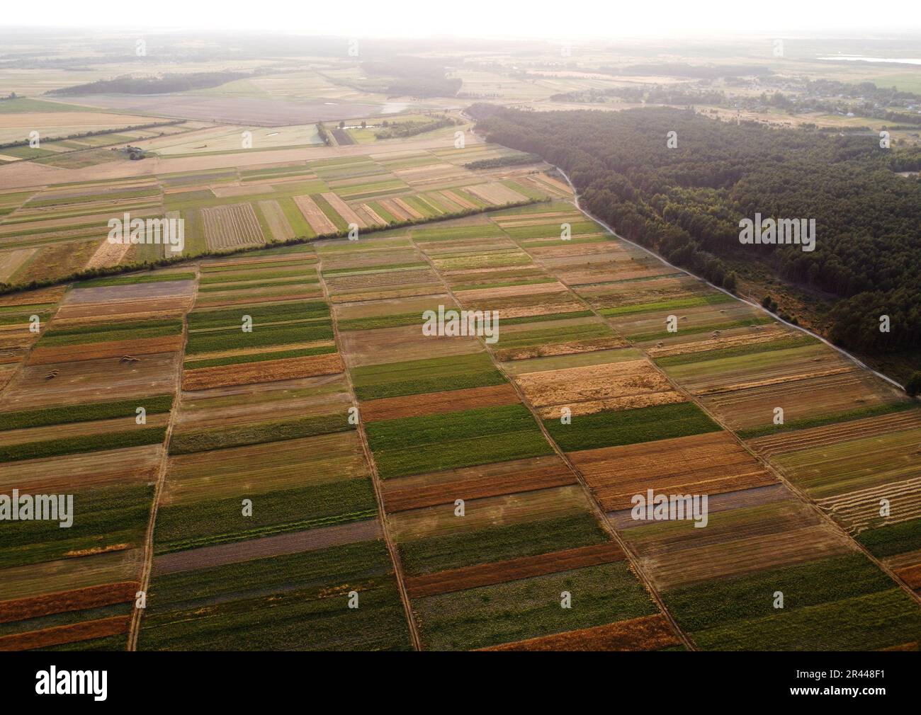 Aerial view of cultivated green fields and agricultural parcels with ...