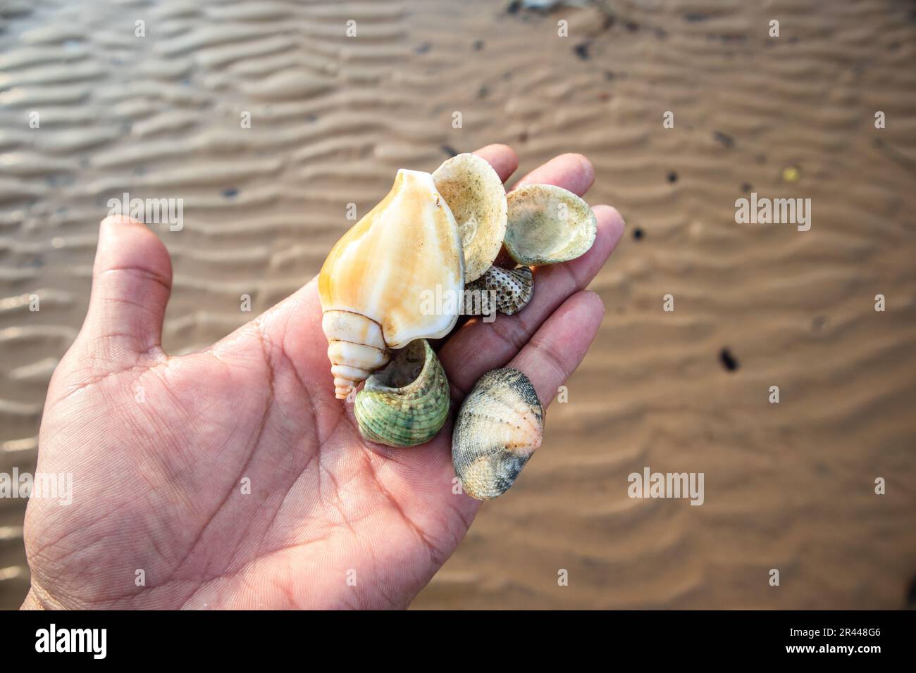 Sand patterns designs on beach hi-res stock photography and images - Alamy
