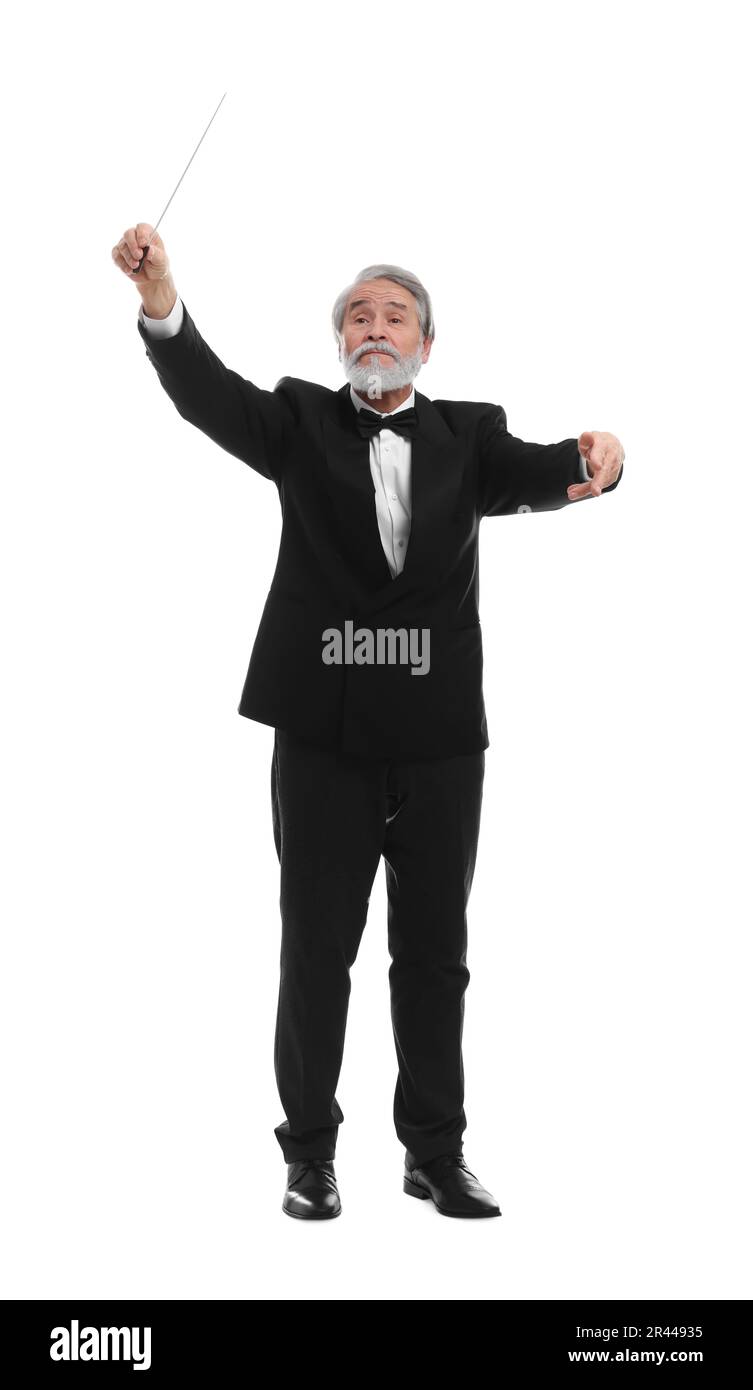 Professional conductor with baton on white background Stock Photo - Alamy