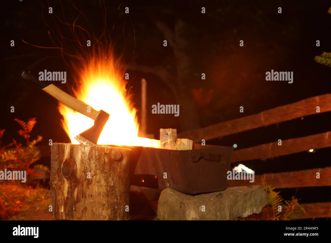 Fire burning in tree stump hi-res stock photography and images - Alamy