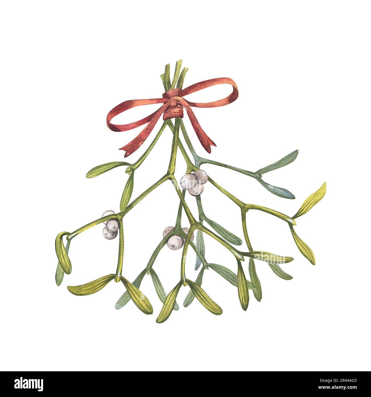 Christmas mistletoe branch with red ribbon bow isolated on white ...