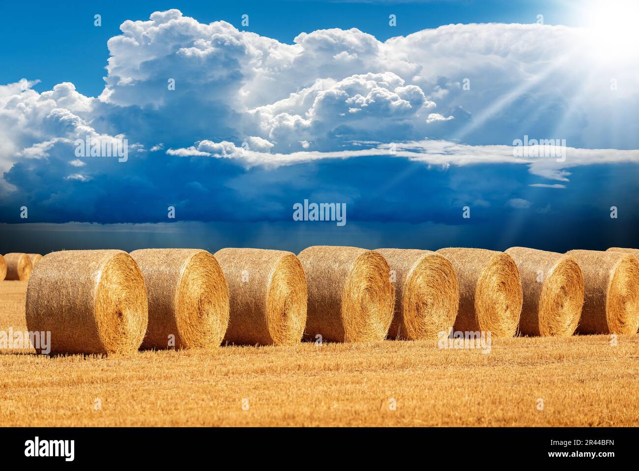 Row of golden hay bales in a sunny summer day with a beautiful blue sky ...