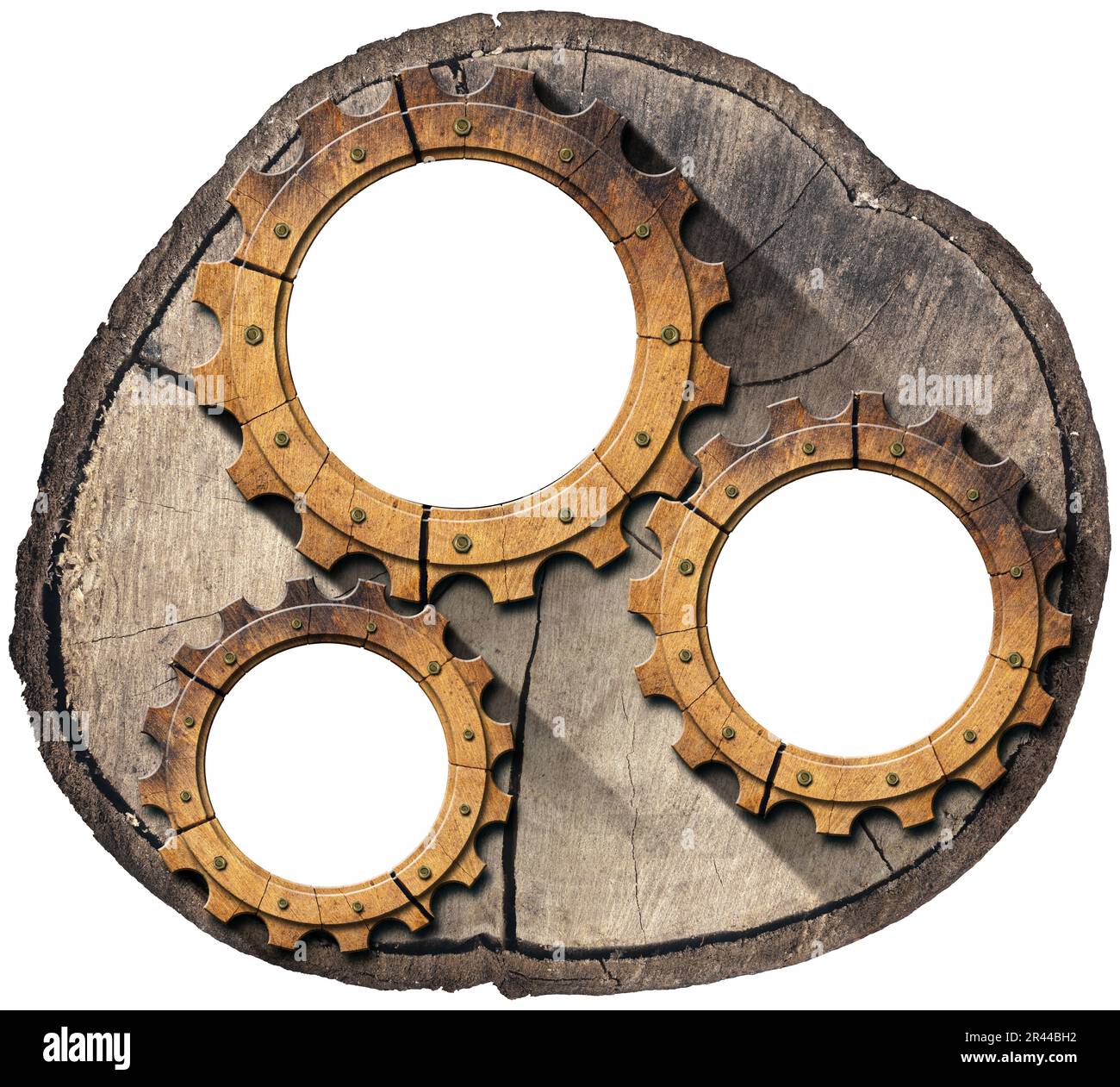 Three wooden cogwheels (gears) on a cross section of a tree trunk with ...