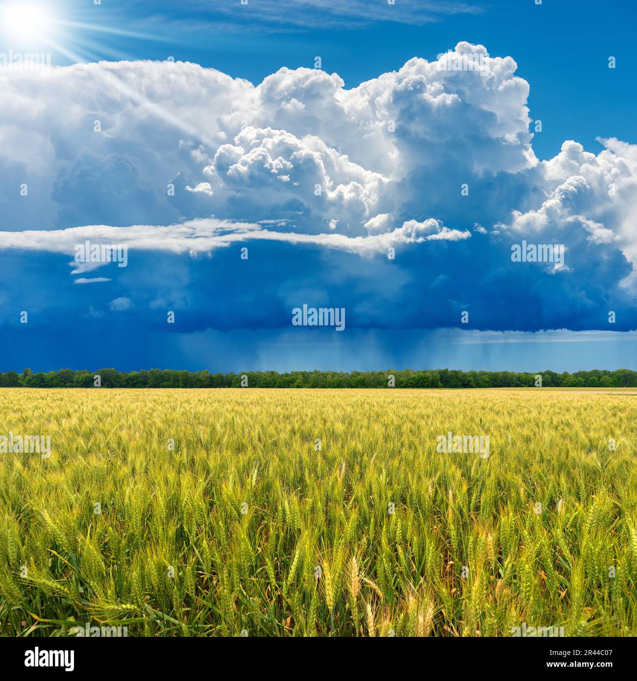 Beautiful cumulus clouds (cumulonimbus) on blue sky with torrential ...