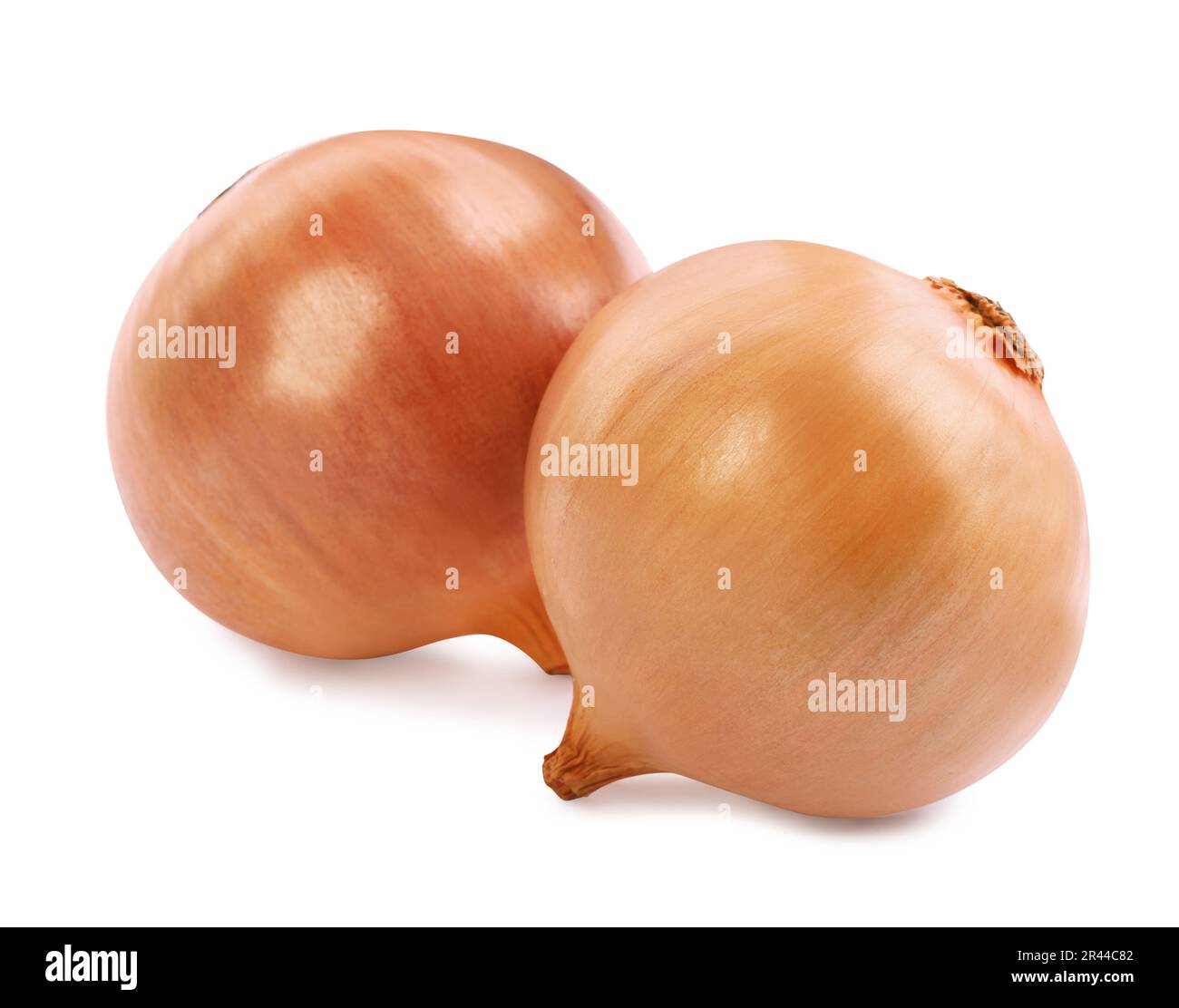 Two yellow fresh onions Cut Out Stock Images & Pictures - Alamy