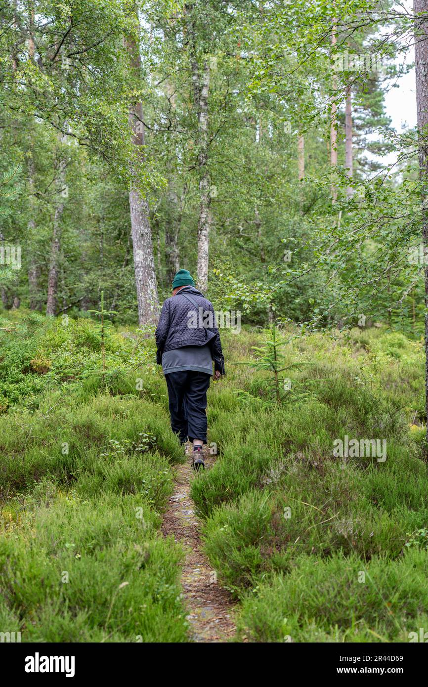 girl walking away from camera through deciduous woodland and heath in ...
