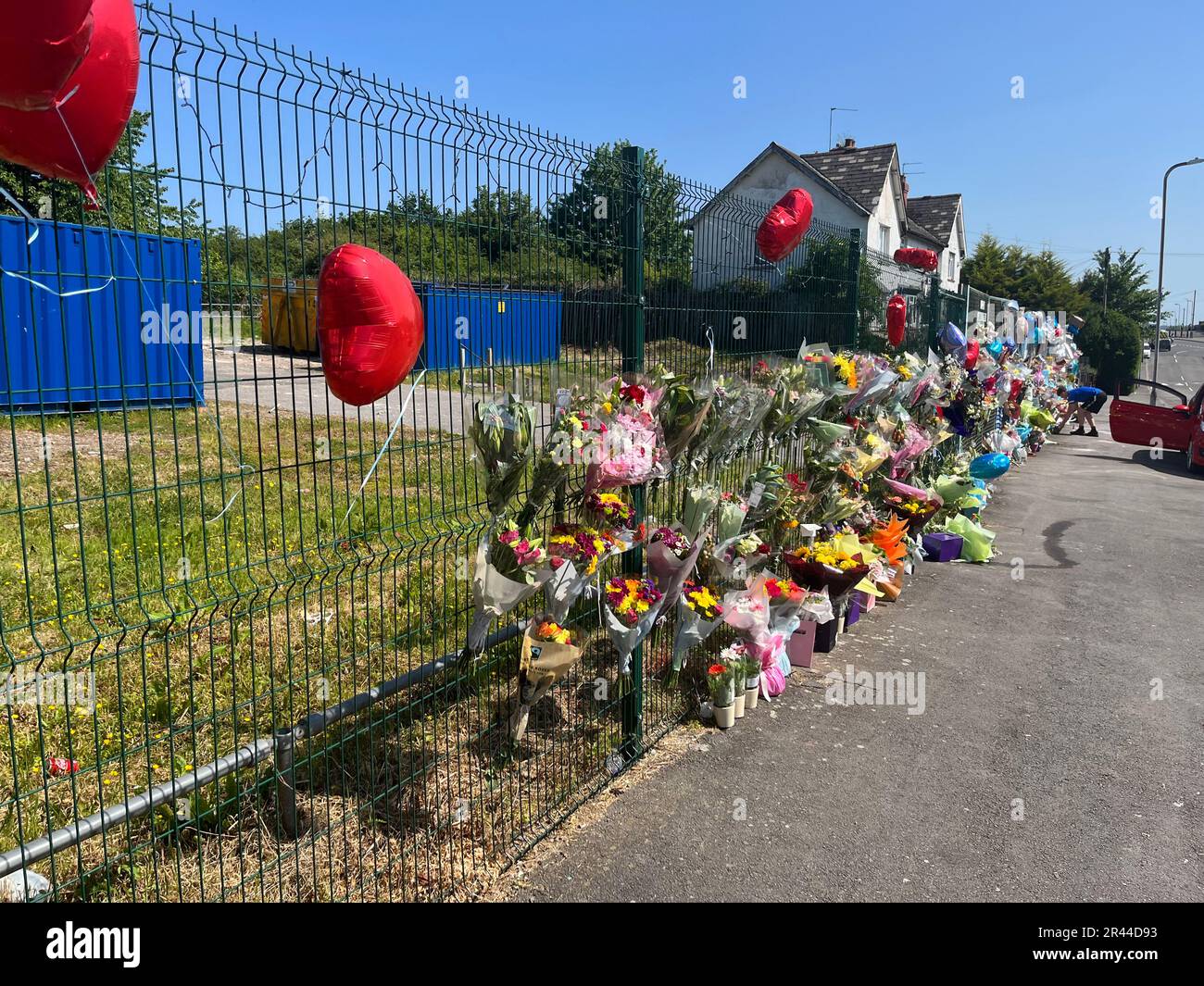 Floral tributes left to Kyrees Sullivan and Harvey Evans on Snowden ...