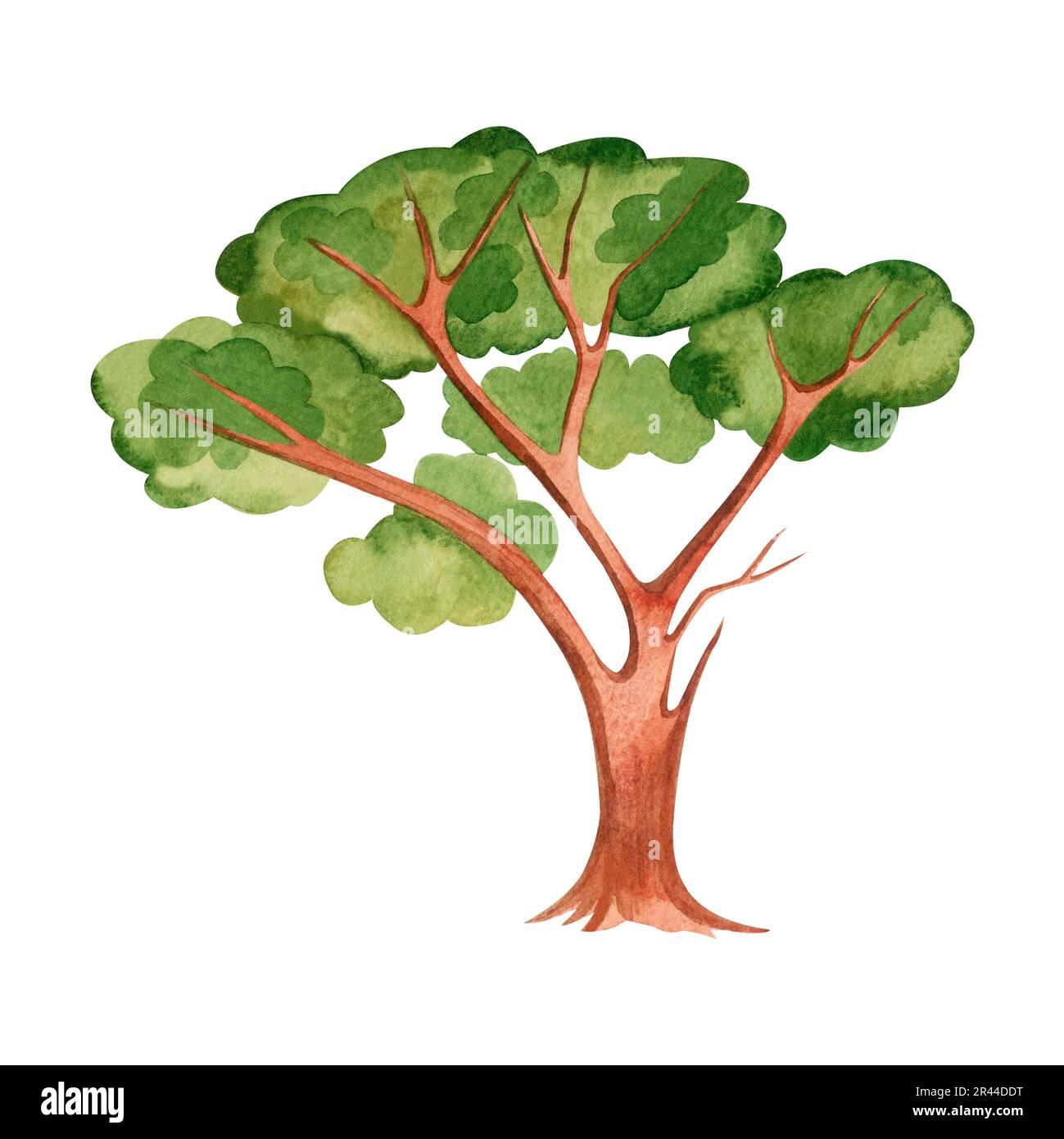 Watercolor illustration. A green tree with a brown trunk painted in ...