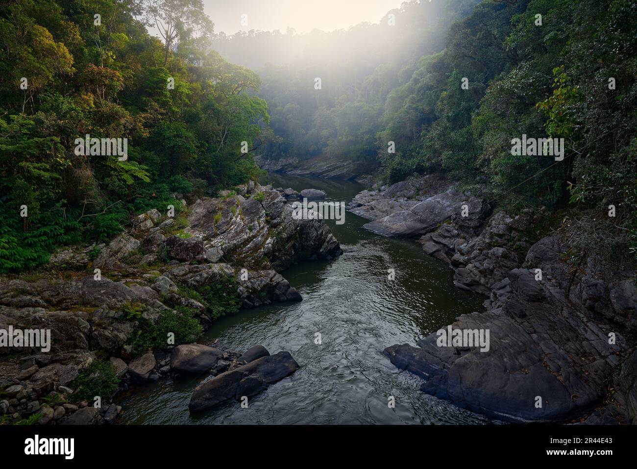 Madagascar mountain river tropic landscape. Trees above the river ...
