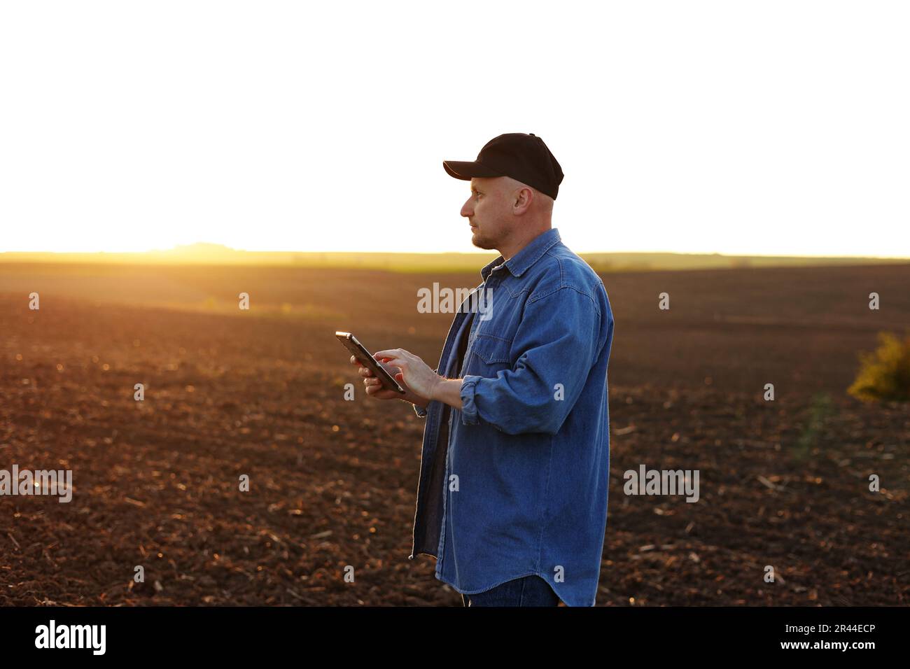 Smart farming technology and agriculture. Farmer uses digital tablet on ...