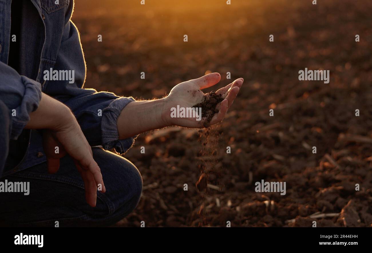 Male farmer's hand holds a handful of dry ground and checks soil ...