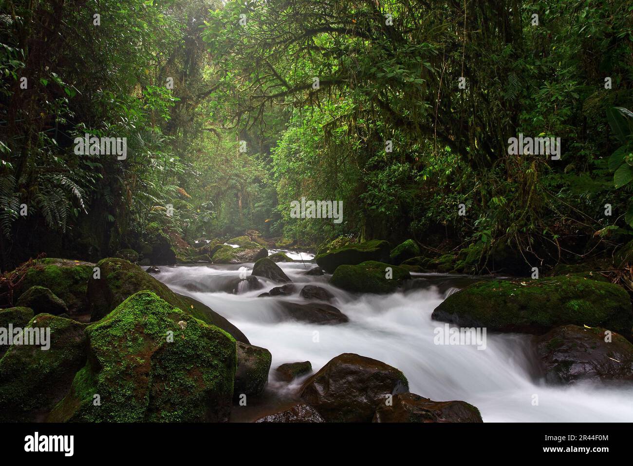 Costa Rica river landscape, La Paz Waterfall near the Vera Blanca ...
